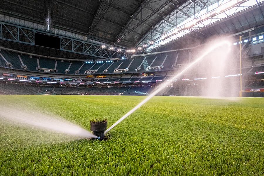 DTR Landscape Development